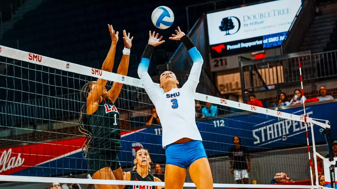 San Diego Mojo adds setter Celia Cullen - Major League Volleyball