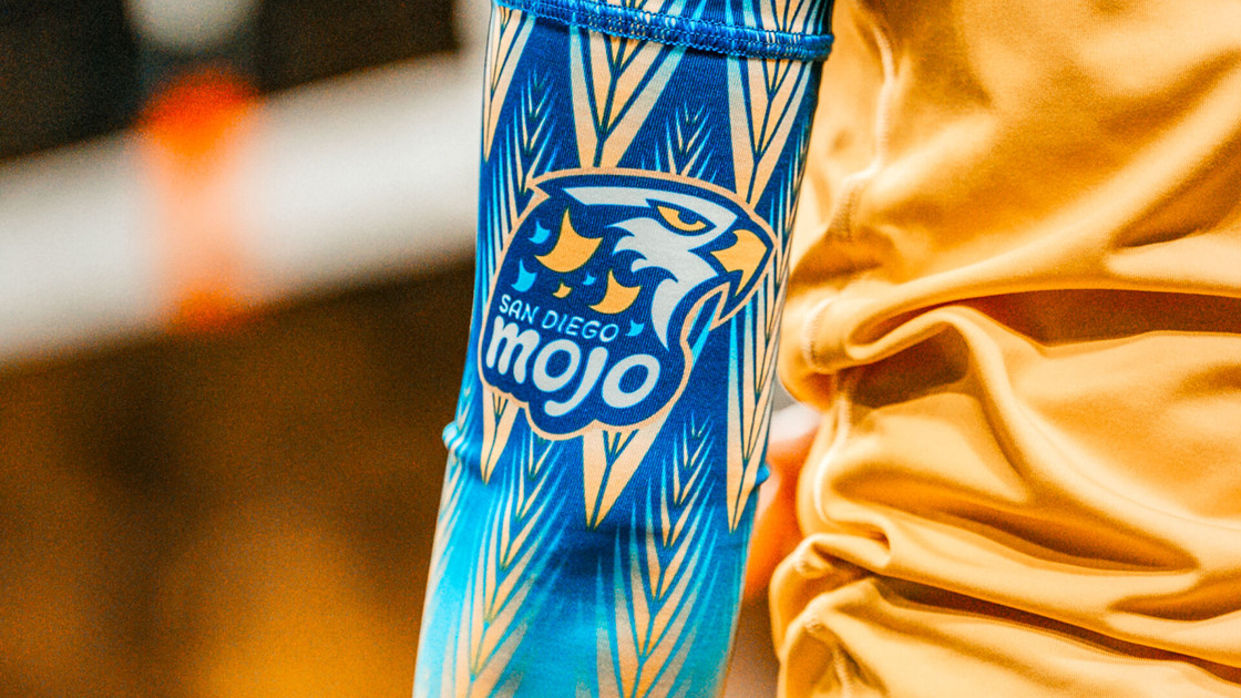 Mojo fall in season opener at Orlando - Pro Volleyball Federation