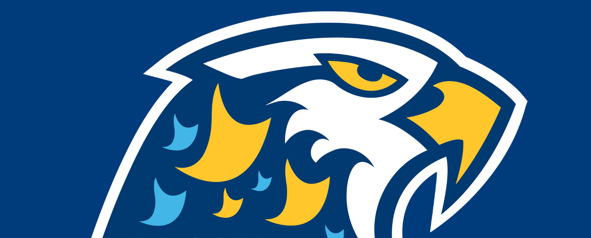 San Diego Mojo Group Tickets - Major League Volleyball