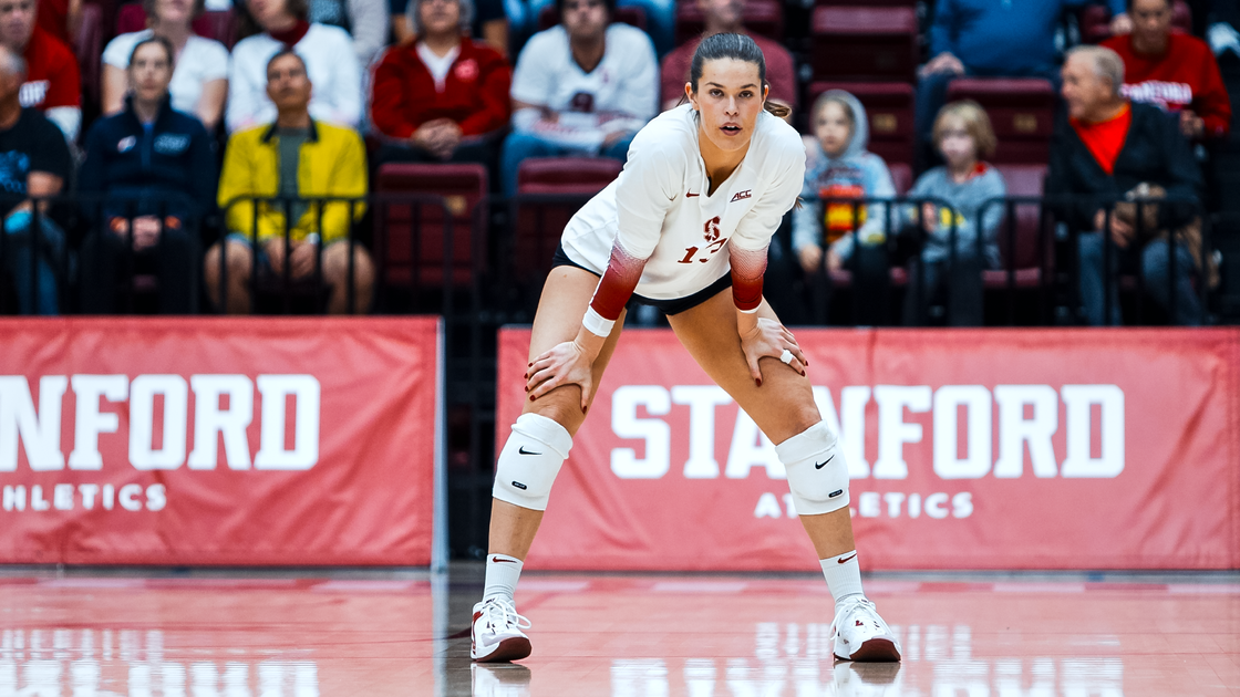 All Four Mojo Draft Picks Earn AVCA All-Region Honors - Major League ...